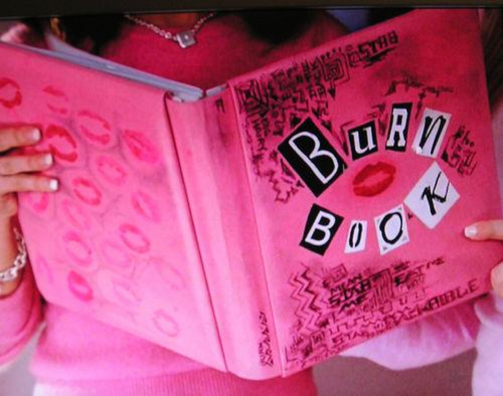 Lauren s Burn Book 11 Items To Toss and Burn Lauren Messiah